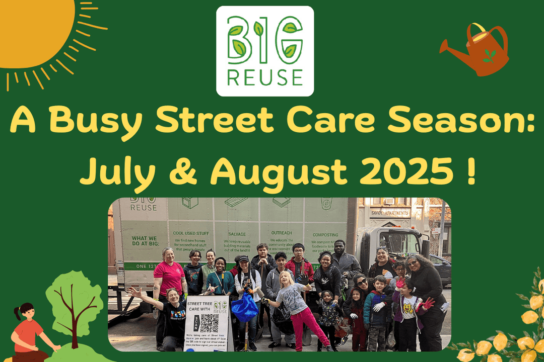 A Busy Street Tree Care Season: Summer 2025! – Big Reuse