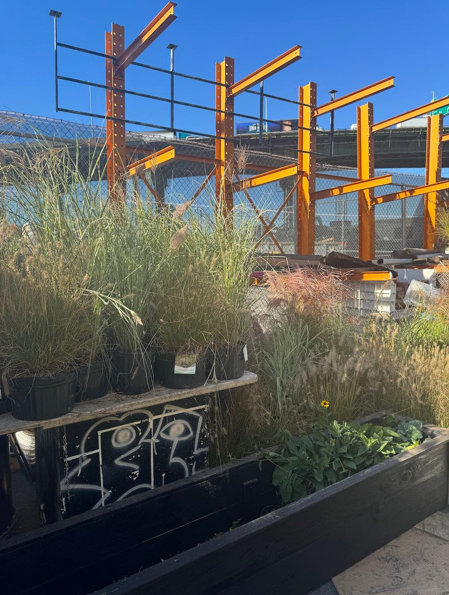 Come by the Reuse Center for Plants and Planters – Big Reuse