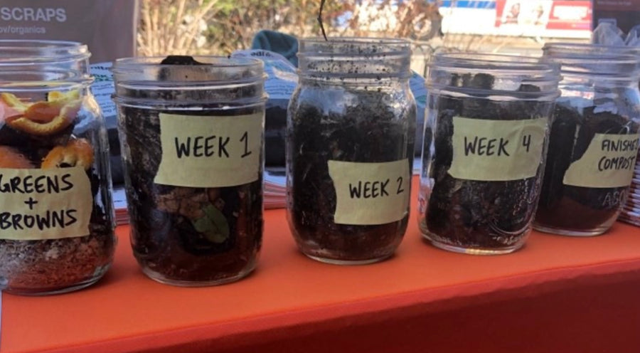 How do your food scraps become compost? – Big Reuse