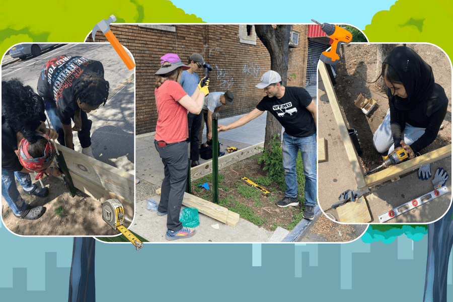 Protecting NYC’s Street Trees with Youth: Tree Guard Install Project ...