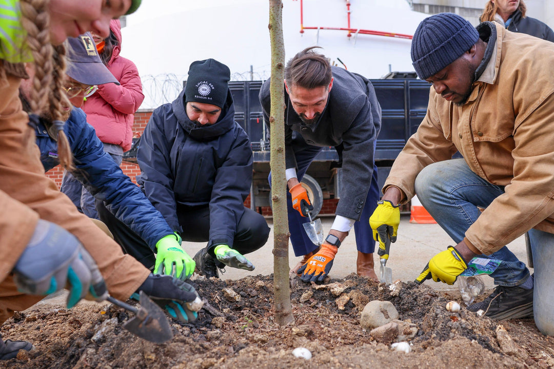 Tree Planting in "Asthma Alley" with Rise Light & Power – Big Reuse
