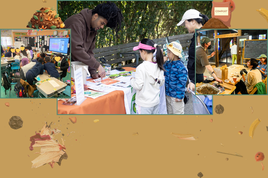 What's New with DSNY's Curbside Composting Program? – Big Reuse