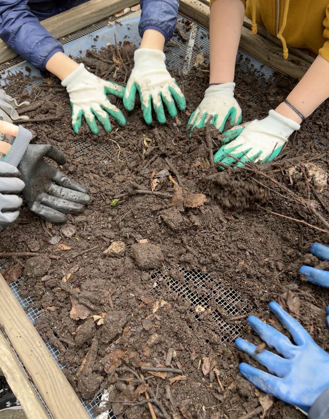 NYC Street Tree Care – Big Reuse